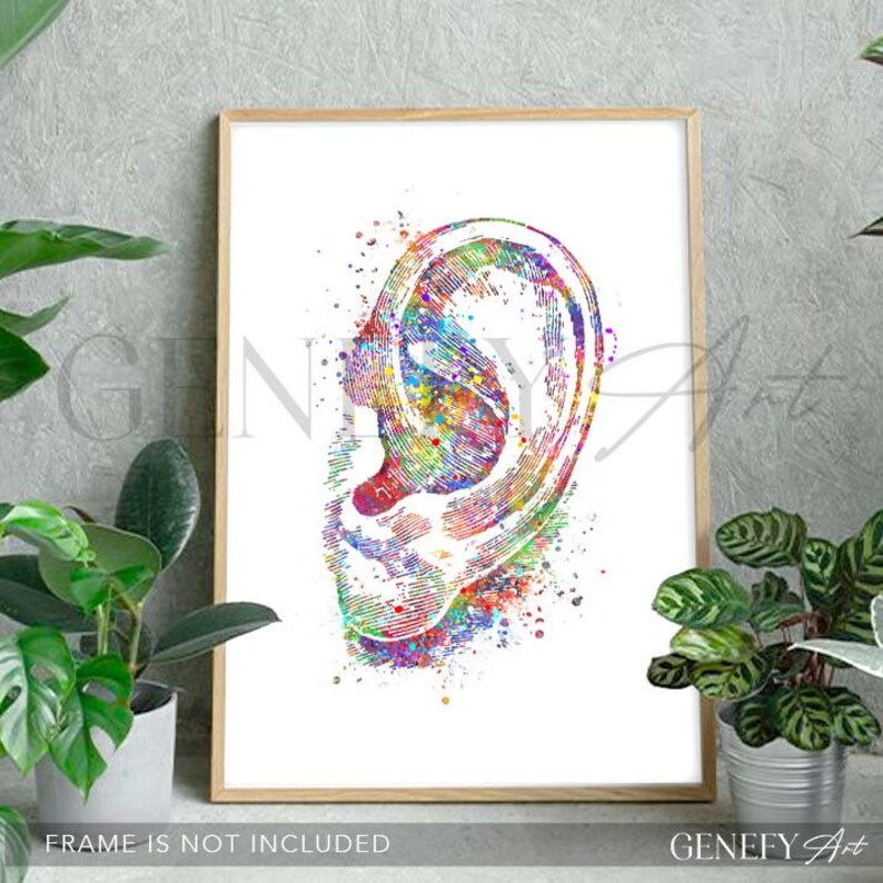 Ear Anatomy Watercolor Art Print Ear Diagram Poster - Etsy