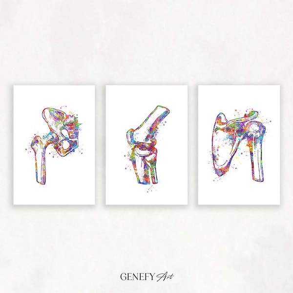 Muscle Anatomy Charts, Human Body Posters - Etsy Canada