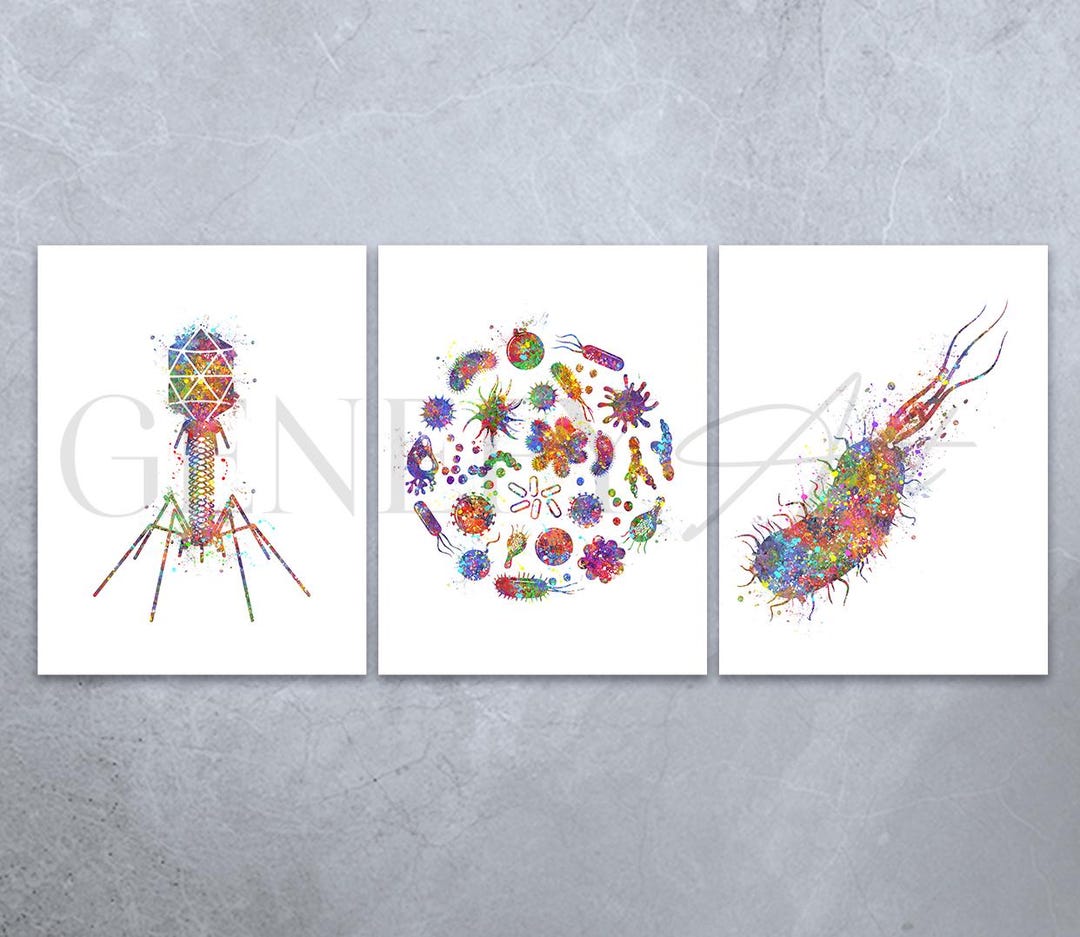 Microbiology Art Prints: E.coli, Bacteria, Bacteriophage Watercolor ...