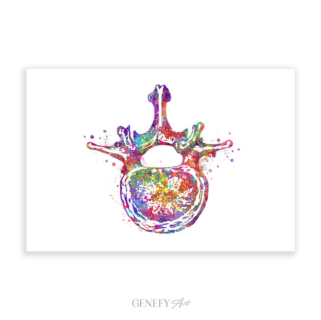 Lumbar Spine Watercolour Art Print, Human Spinal Cord Anatomy Art ...