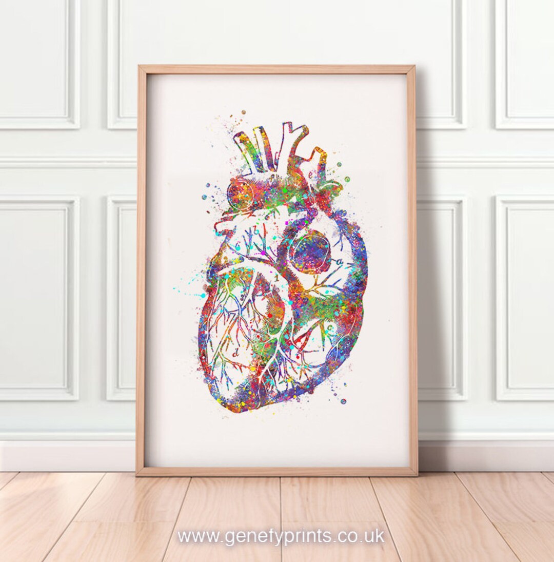Heart Anatomy Watercolour Art Print Cardiology Art Heart Anatomy Prints ...