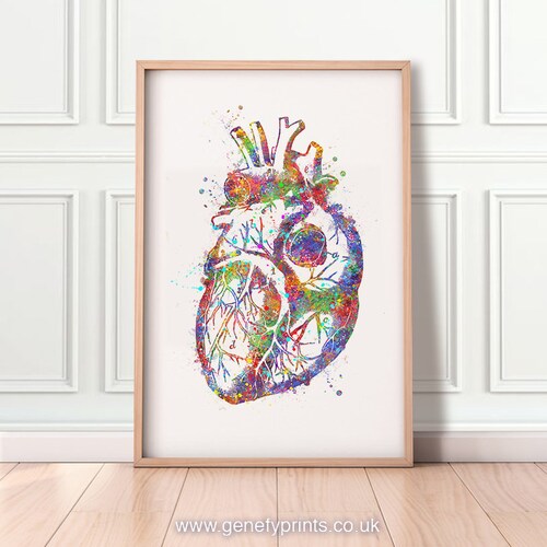 Heart Anatomy Watercolour Art Print Cardiology Art Heart - Etsy