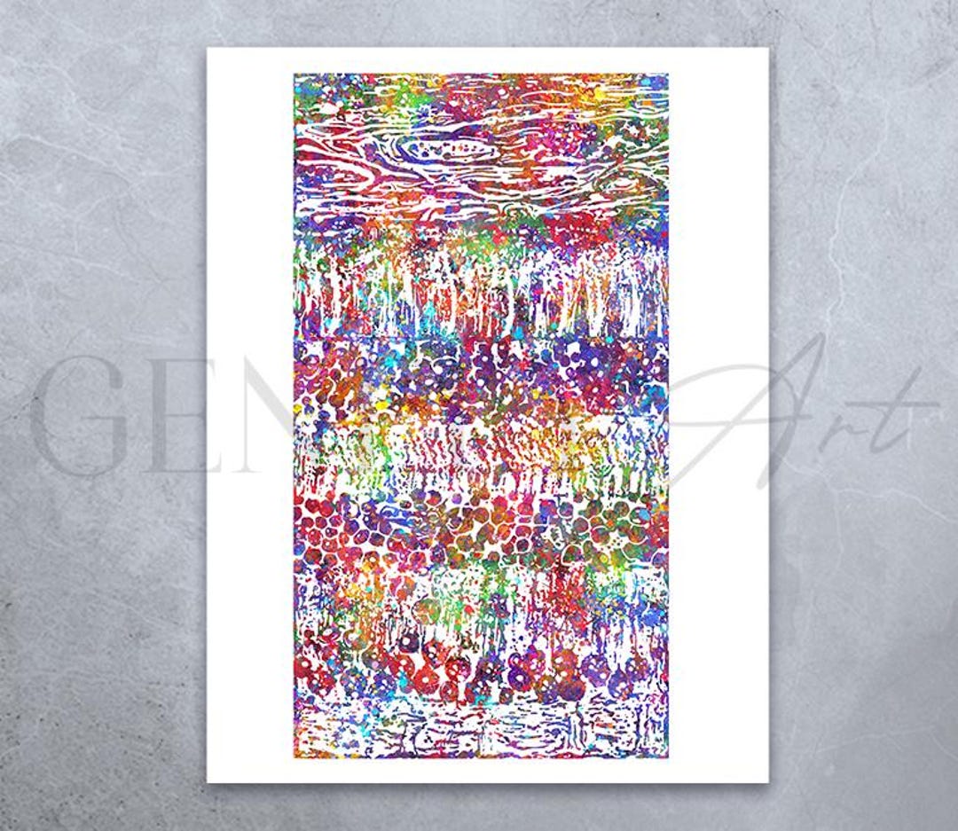 Retina Layers Watercolor Art Print: Eye Anatomy Histology Poster - Etsy
