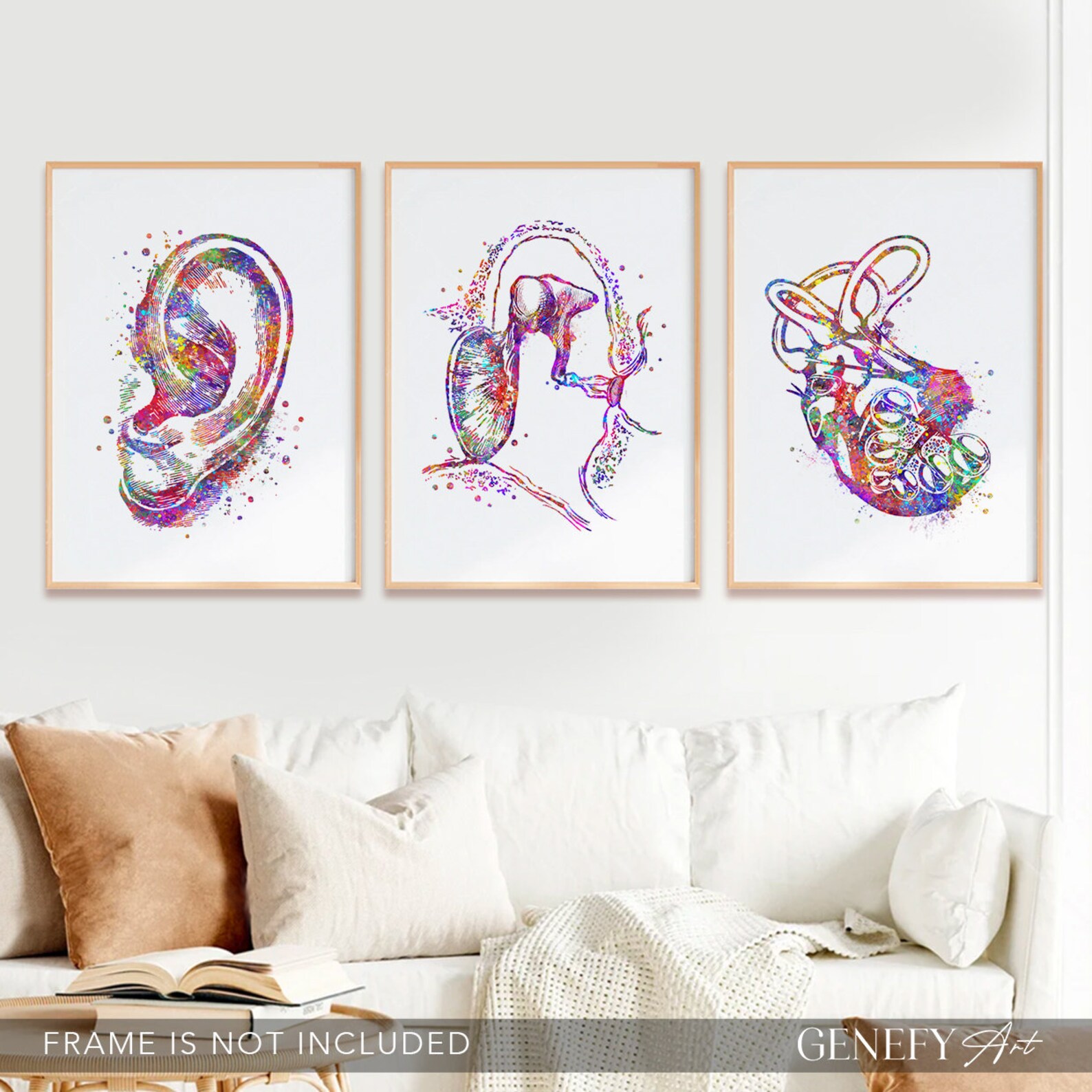 Ear Anatomy Watercolor Art Print Set of 3 Outer Mid and - Etsy