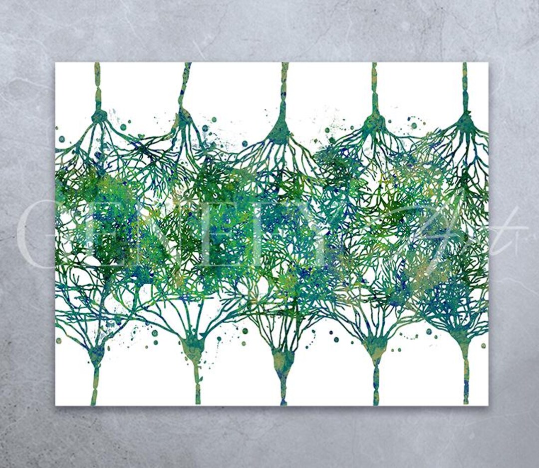 Cortical Neurons Watercolor Art Print: Neocortex Anatomy Poster - Etsy