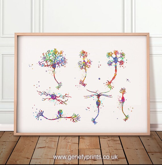 Neuron Cells Watercolor Art Print Brain Cells Abstract Art | Etsy UK