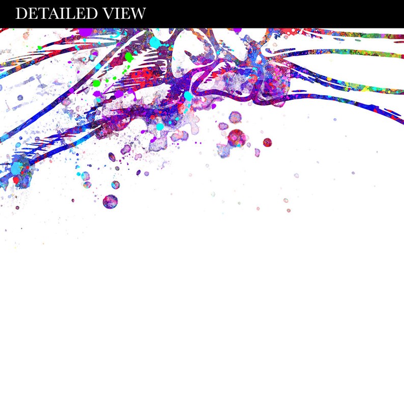 Skeleton Hand Releasing Butterflies Watercolor Art Print - Etsy