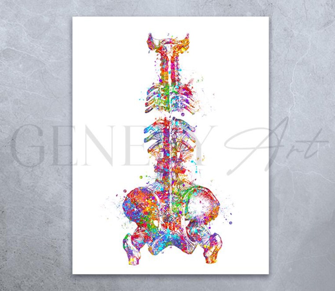Spine and Pelvis Bone Watercolour Art Print - Spine Prints - Hip Bones ...