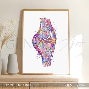 Knee Joint Anatomy Watercolour Print - Knee Anatomy Poster ...