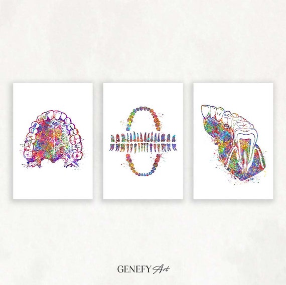 Dental Office Decor Set of 3 Prints Dentistry Art Prints - Etsy