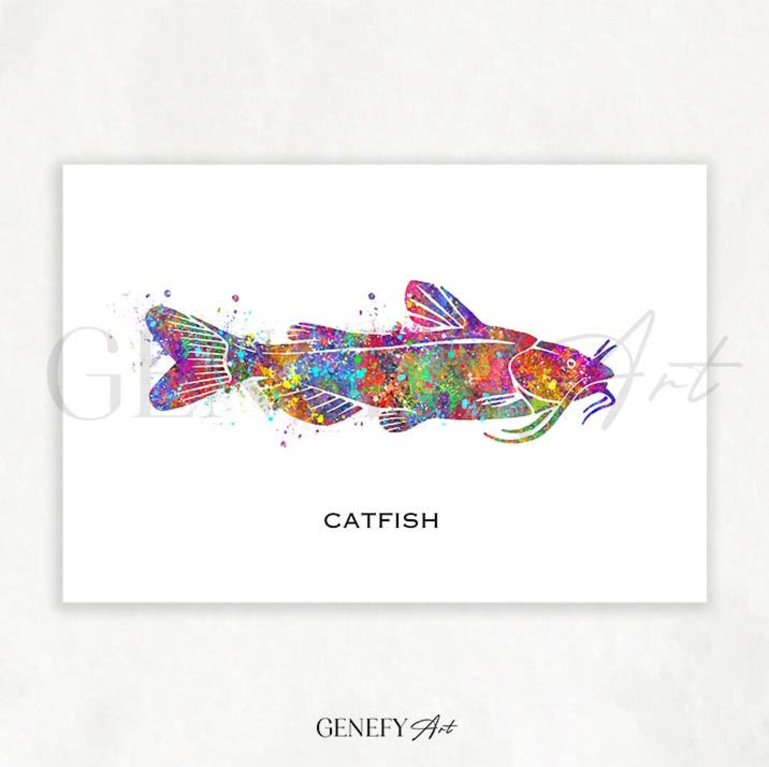 Catfish Watercolour Art Print Catfish Art Print Catfish Print Fishing ...