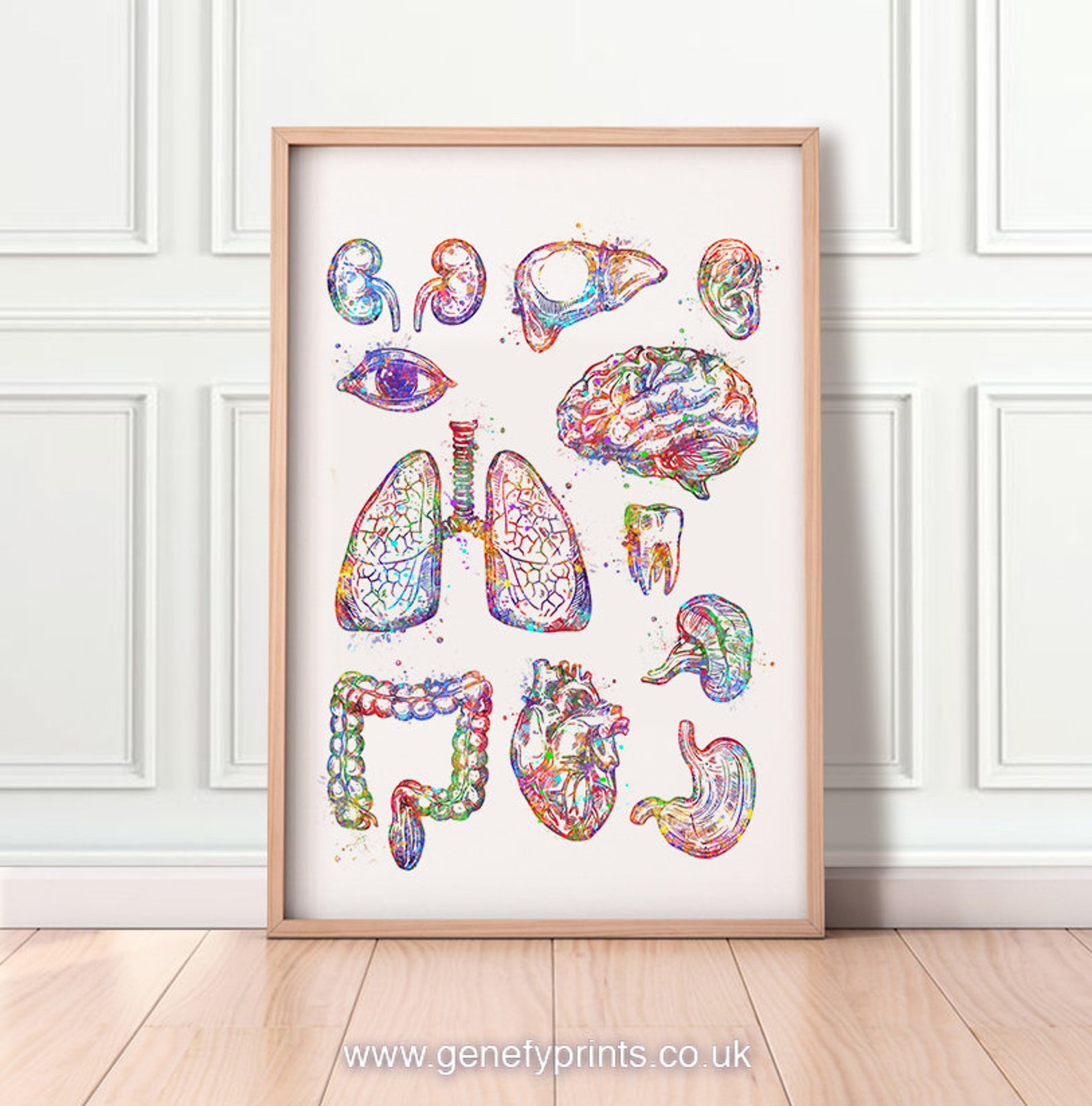 Human Organs Watercolour Art Print Human Medical Art | Etsy