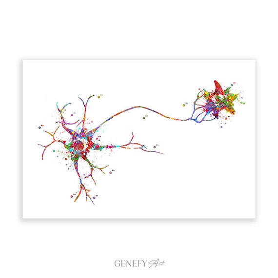 Multipolar Neuron Model