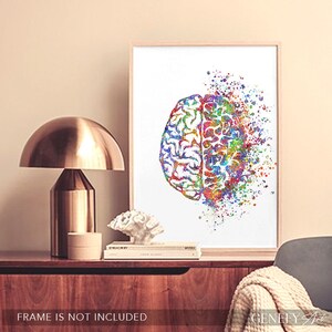Watercolor Brain Art Print: Neurology Anatomy Poster - Etsy