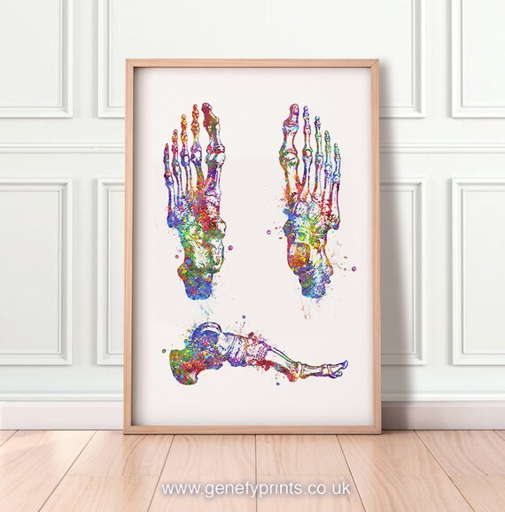 Foot Bones Watercolor Art Print Osteology Prints Osteology | Etsy