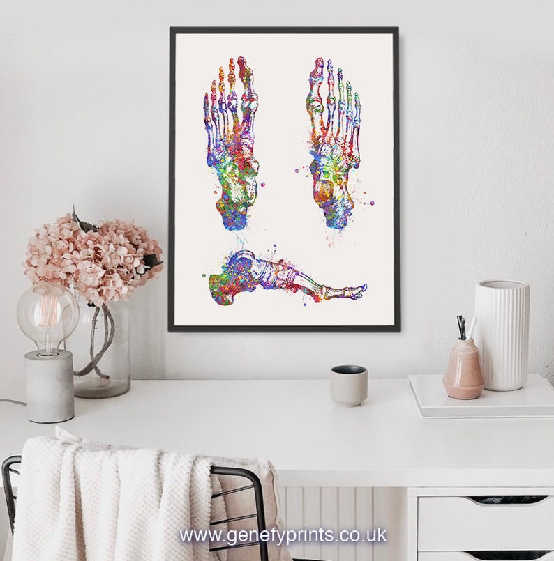 Foot Bones Watercolor Art Print Osteology Prints Osteology | Etsy