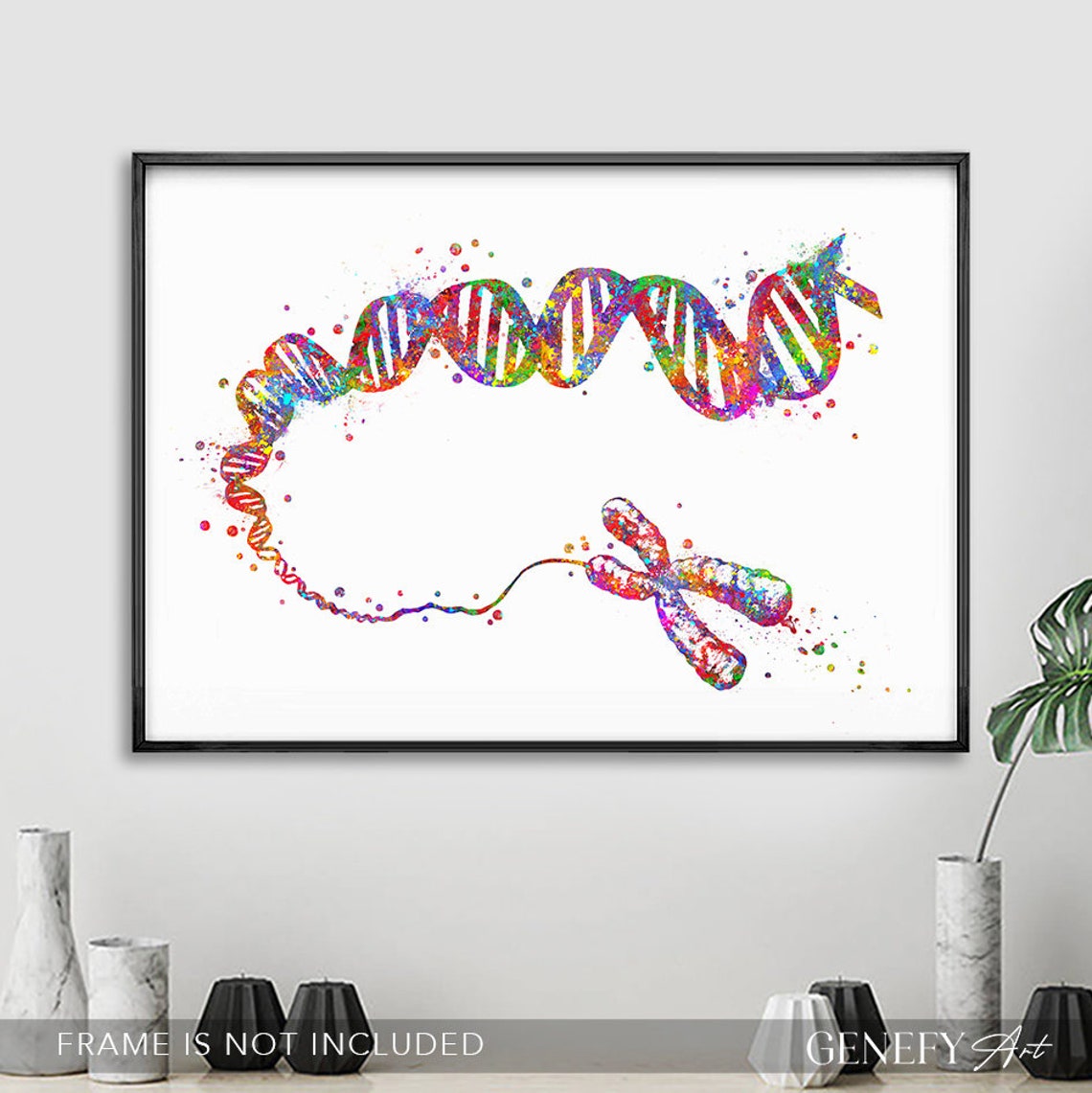 Watercolor Chromosome Art Print: Genetics Science Poster - Etsy