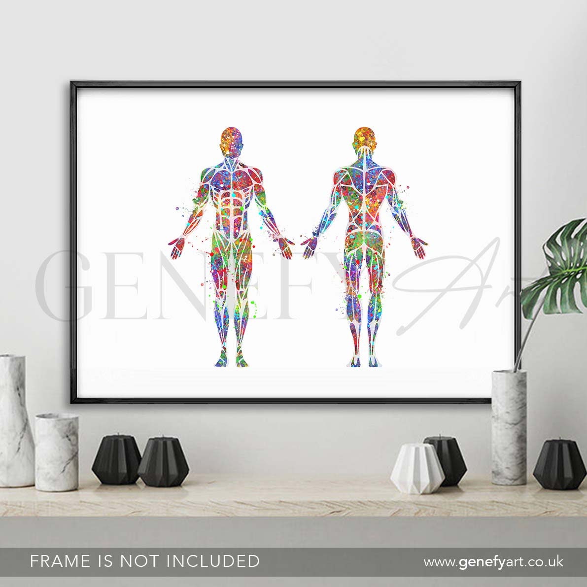 Muscular System Watercolour Print Muscles Anatomy Art | Etsy