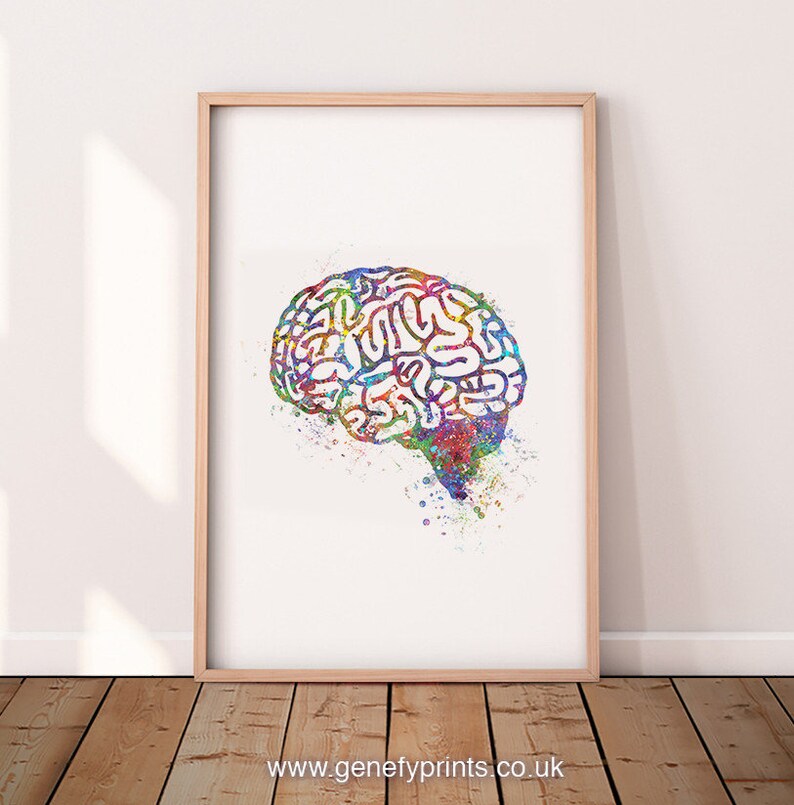 Brain Watercolor Art Print Brain Anatomy Watercolor Print | Etsy