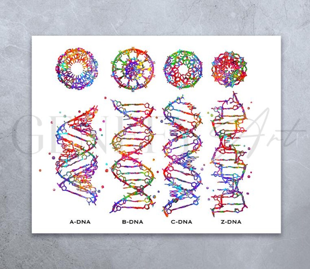 DNA Watercolor Art Print: Genetics Science, Medical Art - Etsy