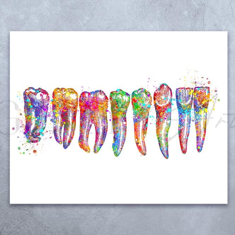 Dental Watercolor - Etsy