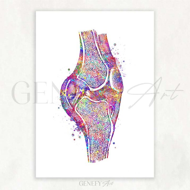 Knee Joint Anatomy Watercolour Print Knee Anatomy Poster | Etsy