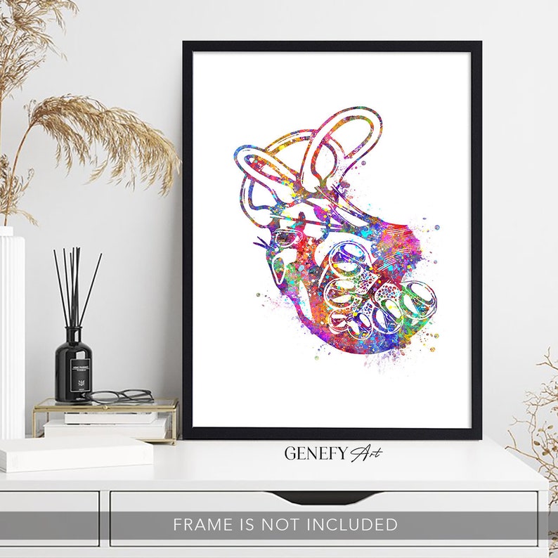 Ear Anatomy Watercolor Art Print Set of 3 Outer Mid and - Etsy