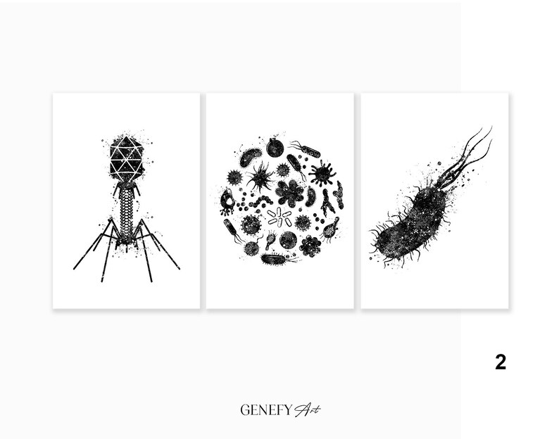 Microbiology Art Prints: E.coli, Bacteria, Bacteriophage Watercolor ...