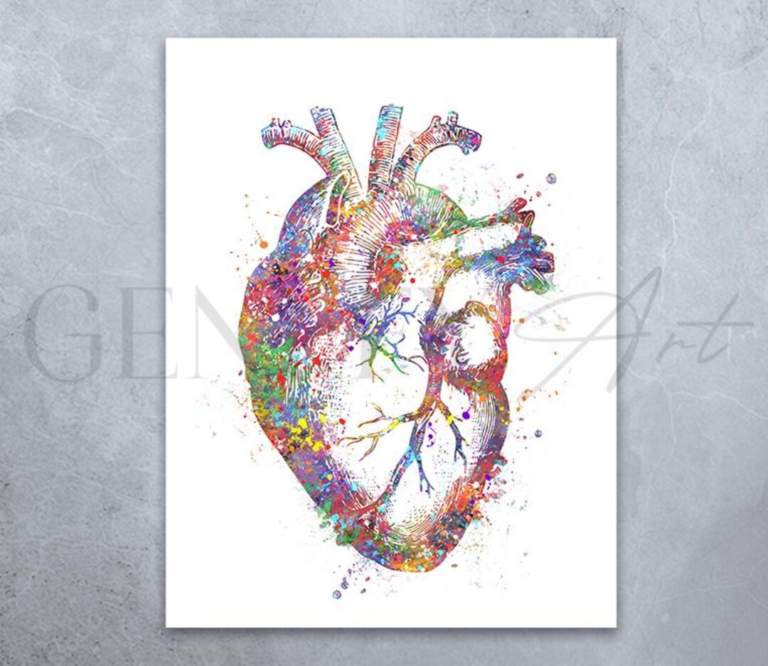 Heart Anatomy Watercolour Art Print: Cardiology Decor - Etsy