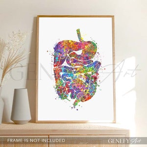 Digestive Tract Anatomy Watercolour Art Print - Gastrointestinal Tract ...