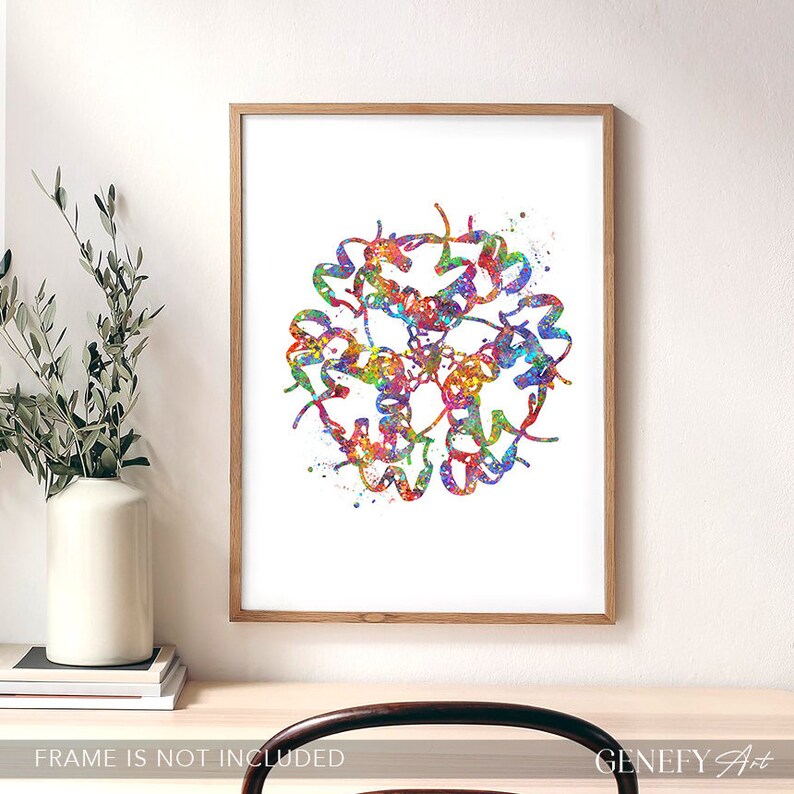 Insulin Structure Watercolor Art Print Endocrinology - Etsy