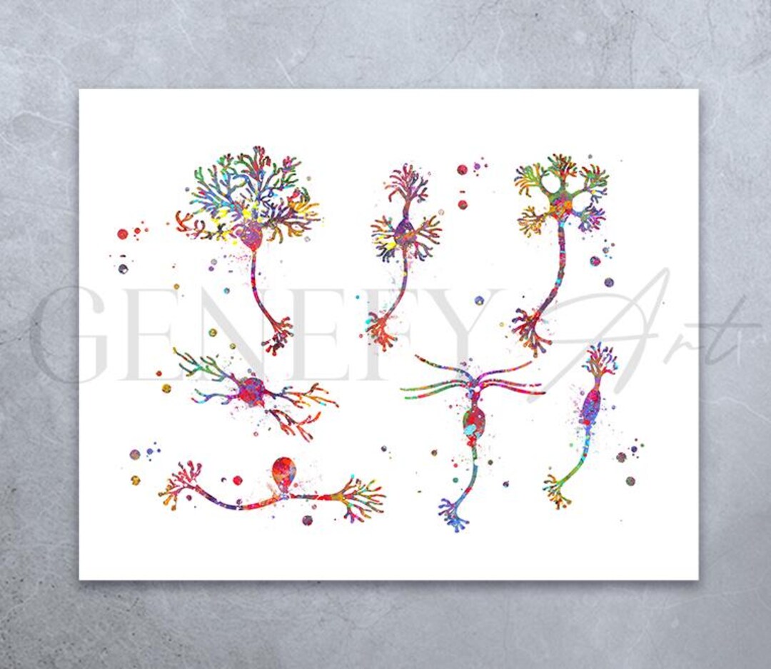Neuron Cells Watercolor Art Print: Abstract Brain Science Poster - Etsy
