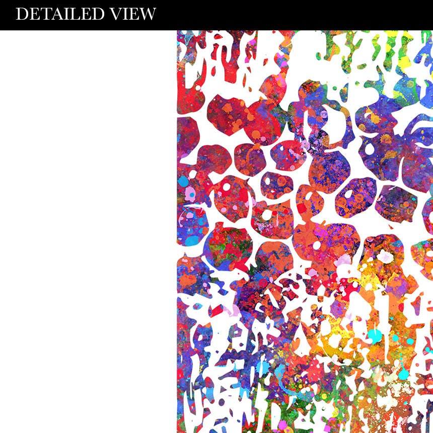 Retina Layers Watercolor Art Print Eye Anatomy Art - Etsy