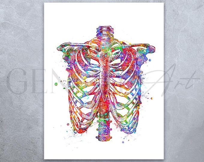 Anatomy Art Print, Rib Cage Poster, Orthopedic Doctor Office Décor, Rib ...