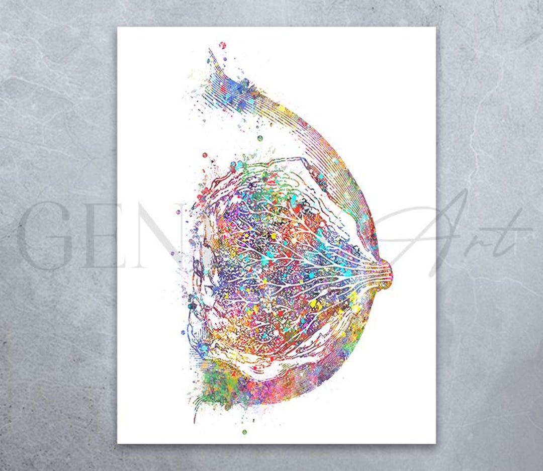 Breast Anatomy Watercolor Art Print - Mammary Gland Poster - Female ...
