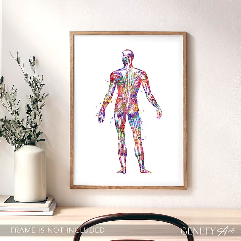 Human Muscular System Watercolour Art Print Human Anatomy - Etsy UK