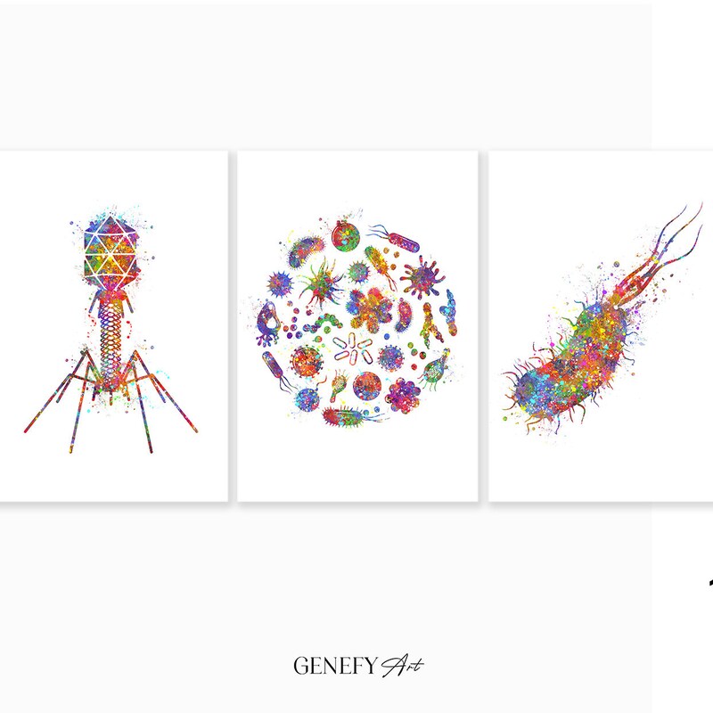 Biology Wall Art - Etsy