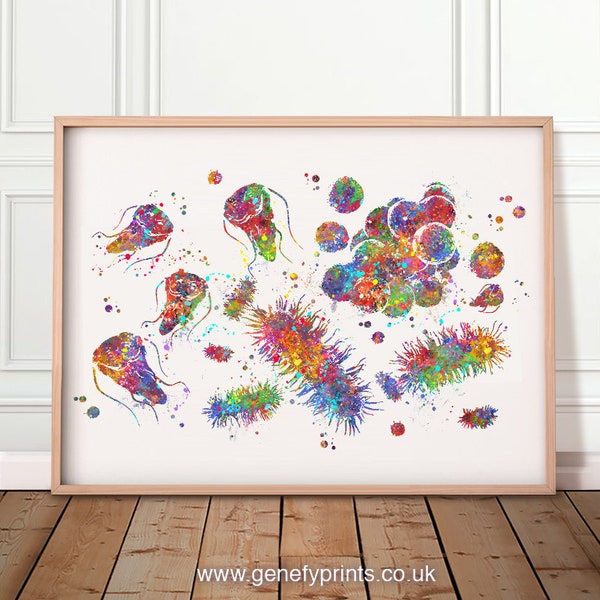Human Cell Poster - Etsy