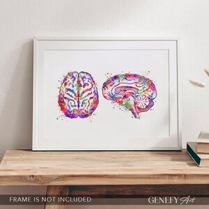 Brain Anatomy Watercolour Art Print: Science Poster - Etsy
