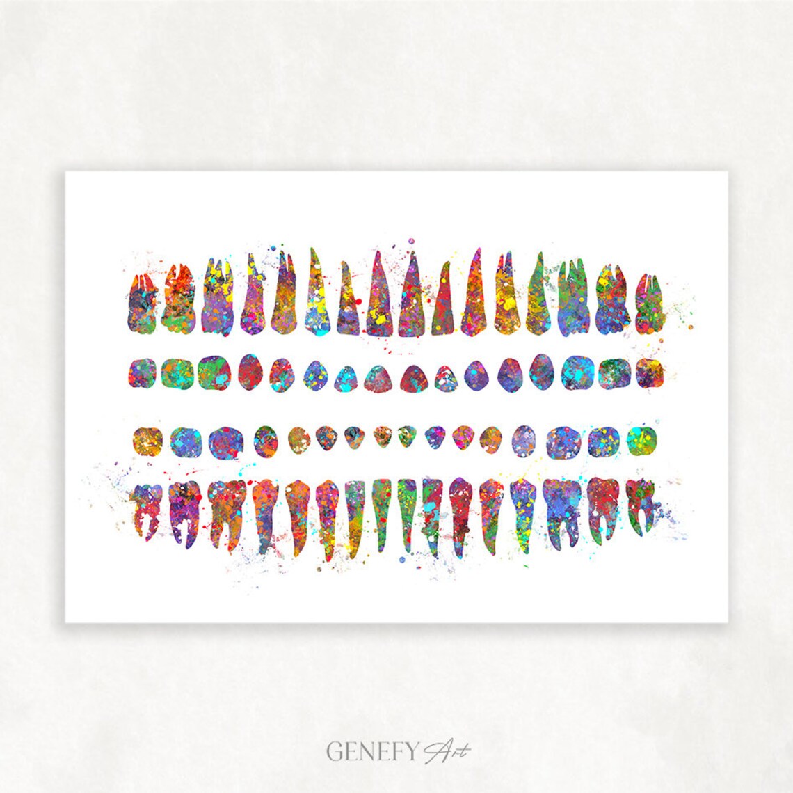 Human Teeth Diagram Watercolor Art Print Teeth Row Art - Etsy UK