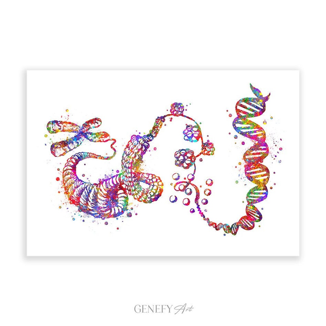 DNA Chromosome Watercolor Art Print - Chromosome Art - Medical Art ...