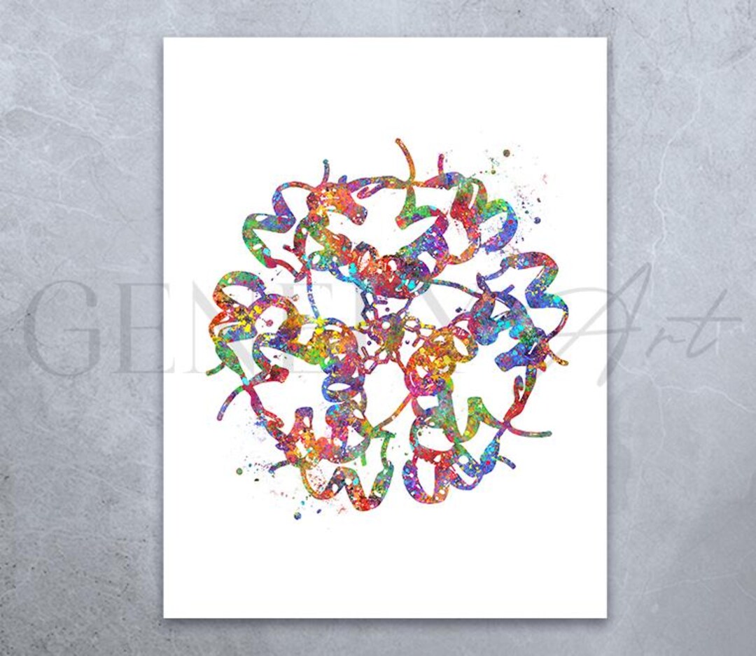 Insulin Structure Watercolor Art Print Endocrinology Diabetes Prints ...