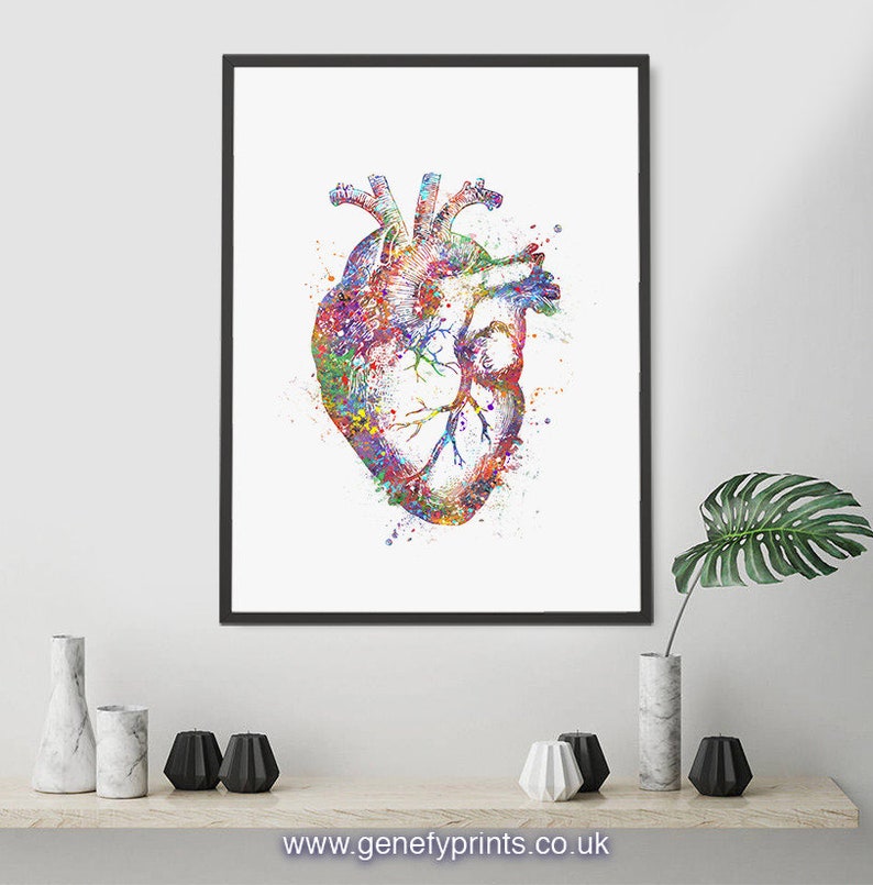 Heart Anatomy Watercolour Art Print Cardiology Art Heart | Etsy