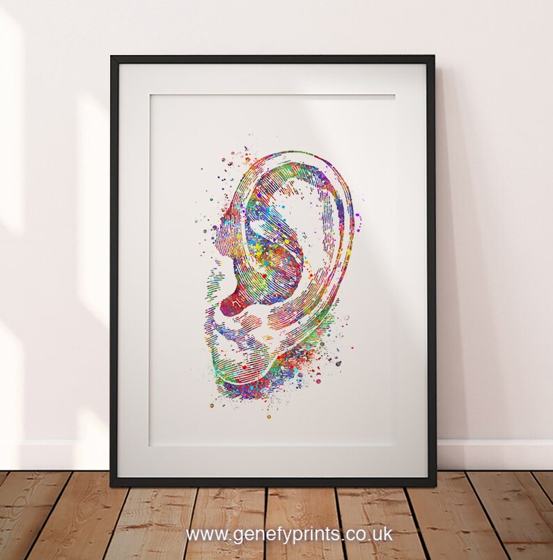 Ear Anatomy Watercolor Art Print Ear Diagram Poster | Etsy