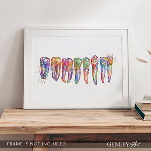 Human Teeth Watercolor Art Print, Teeth Row Poster, Molars and Incisors ...