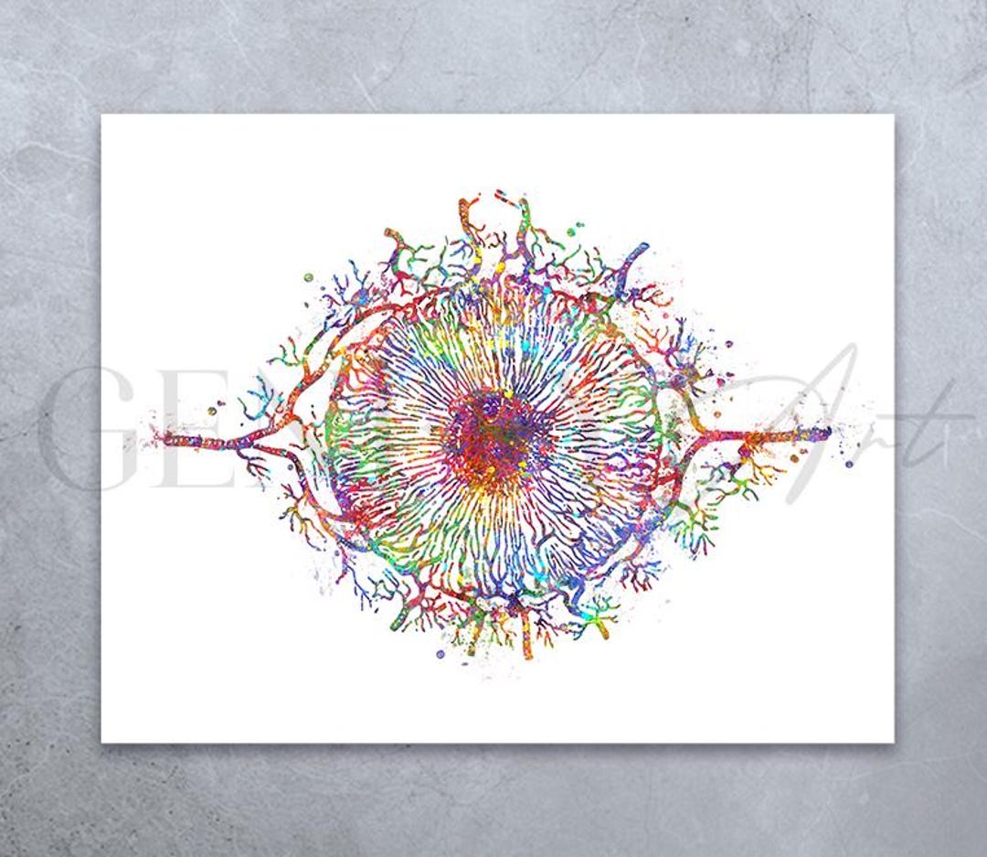 Iris Human Eye Anatomy Watercolor Art - Eye Abstract Medical Art Print ...