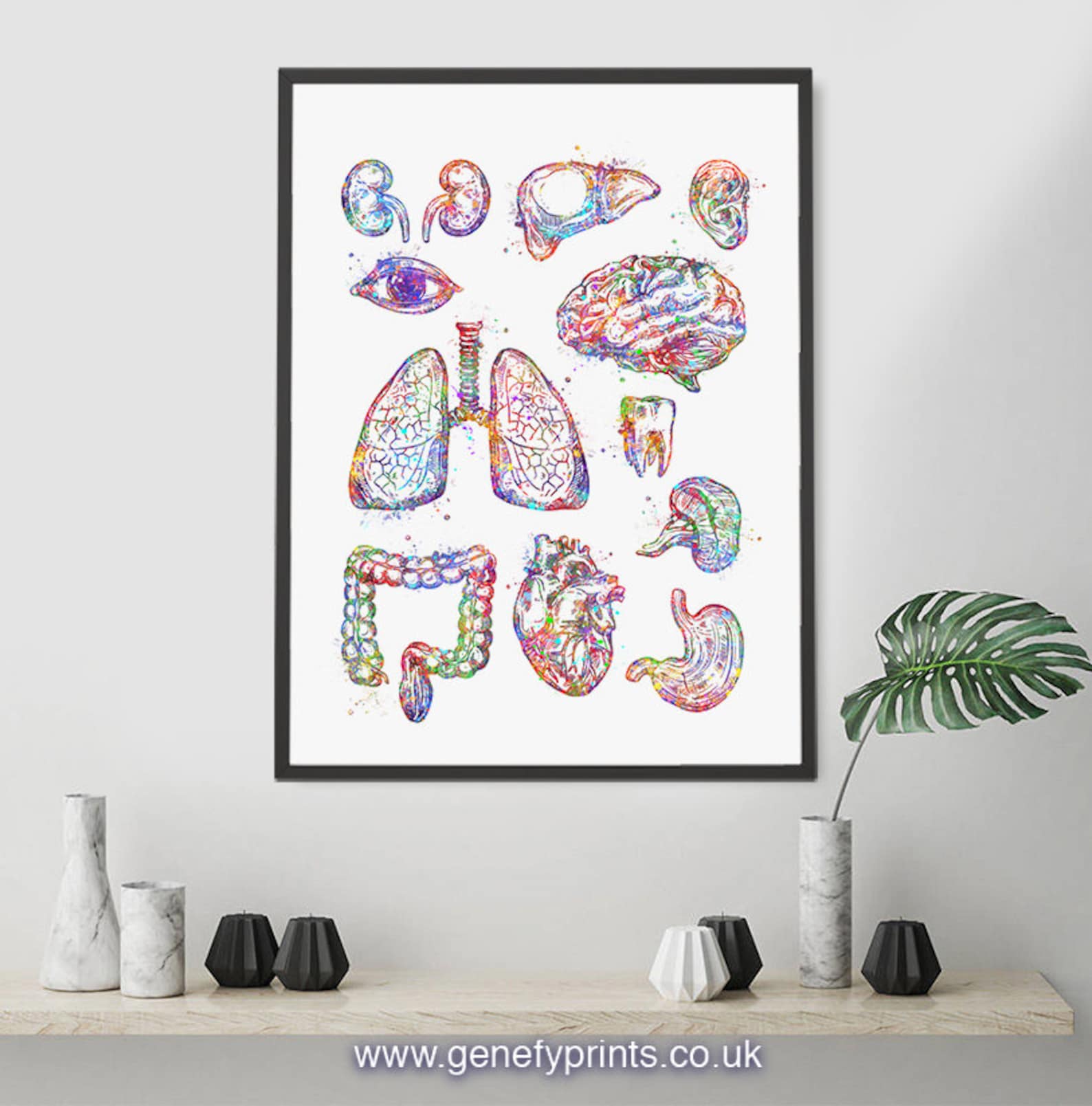 Human Organs Watercolour Art Print Human Medical Art | Etsy