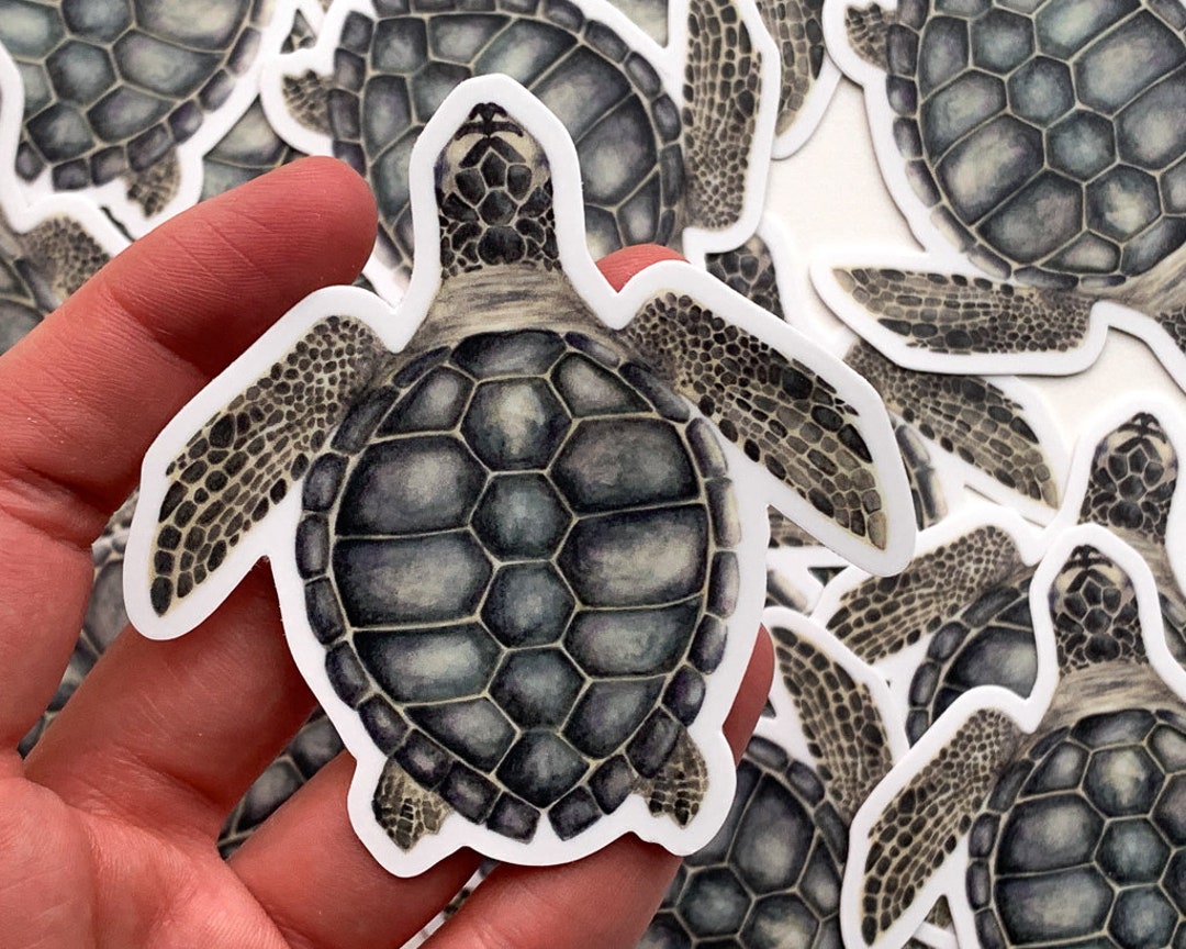 Sea Turtle Vinyl Decal Sticker, Gift for Ocean Lover, Undersea Inspired ...