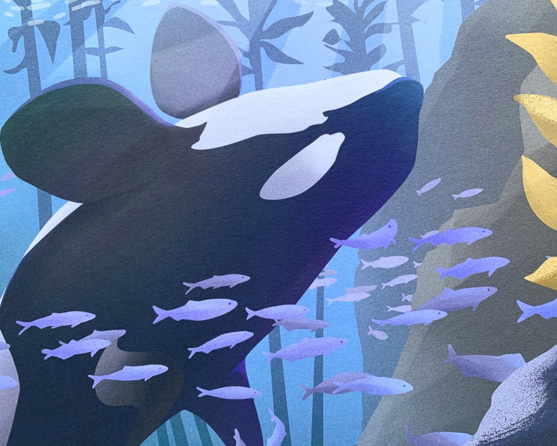 Orca Kelp Forest Illustration Print Giclee Art Print - Etsy
