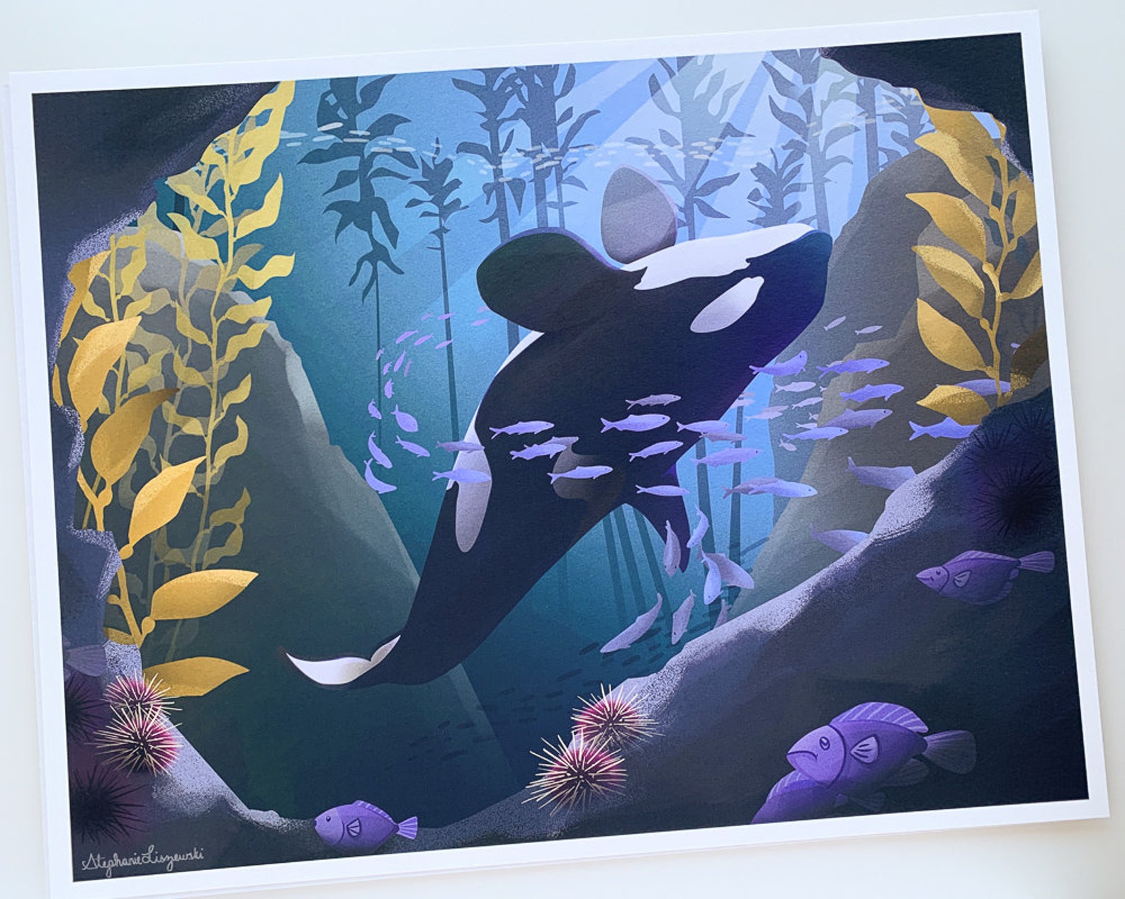 Orca Kelp Forest Illustration Print Giclee Art Print - Etsy